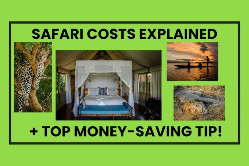 How to Save Money on a Safari Without Compromising Experience - Jumbo ...
